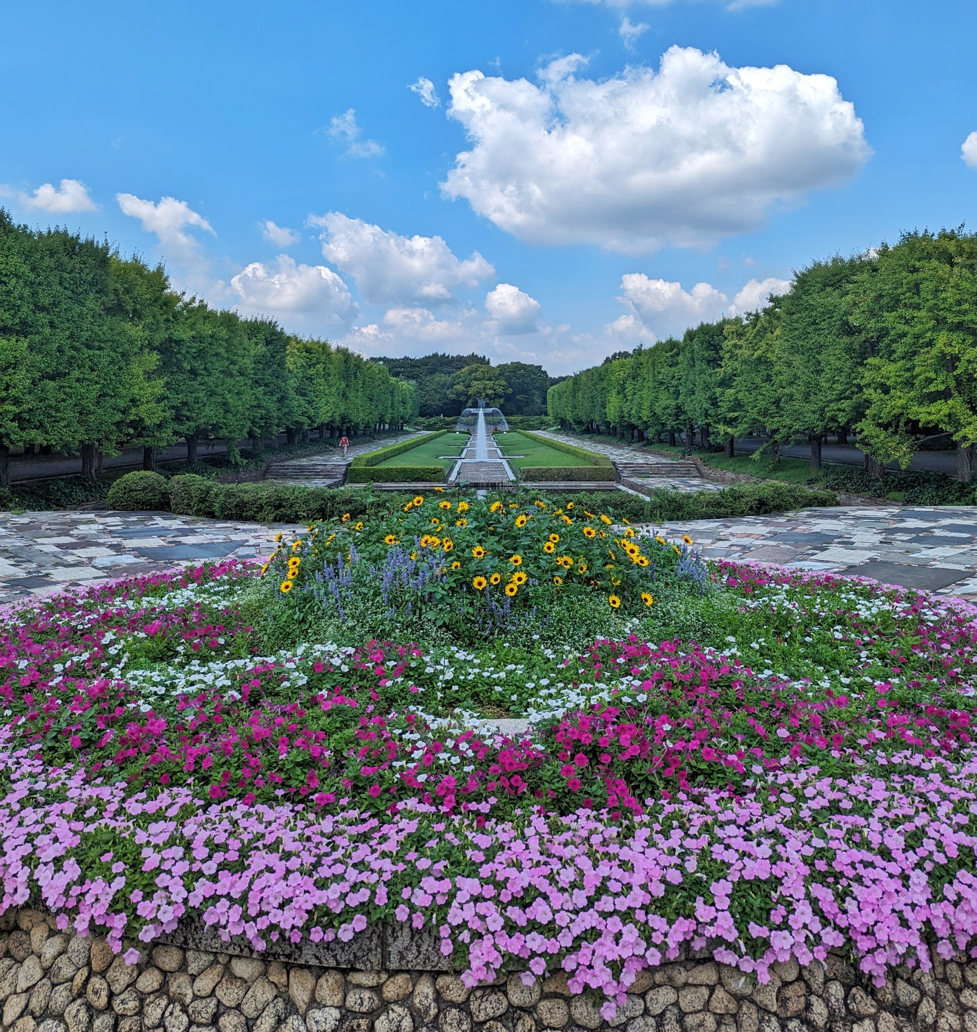Showa Memorial Park, Tachikawa: A complete guide – Kulture Kaiwa